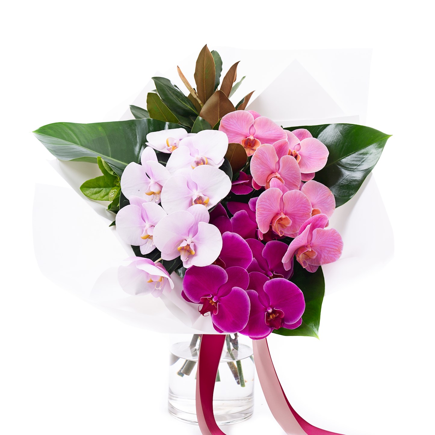 Simply Elegant | Flora Blume